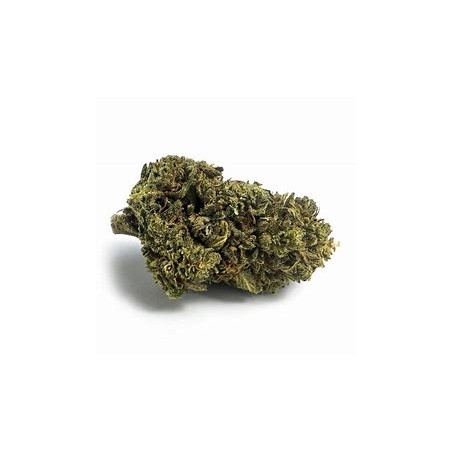 Jamaican Pearl : Fleur de CBD Sativa