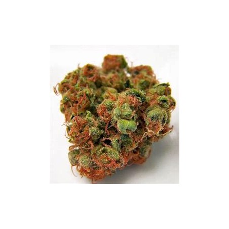 Fleur de CBD Panama Red