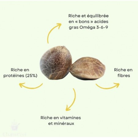 Graines de chanvre entières Bio de Chanvreel - Riches en protéines